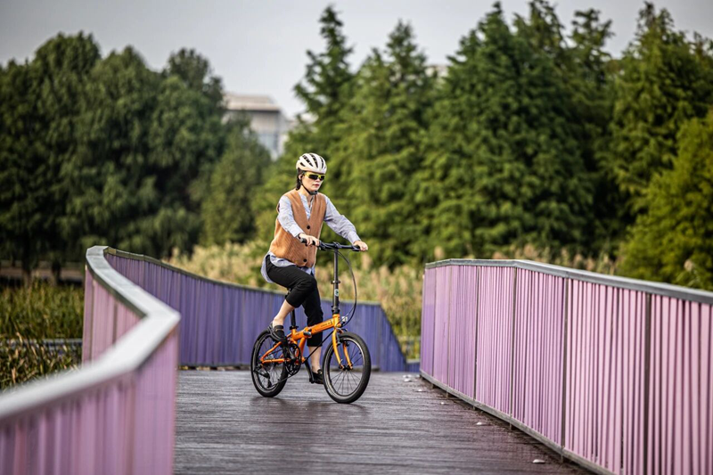 终极大魔王 经典再续 | ARCHER P8折叠车横向测评 - 美骑网|Biketo.com