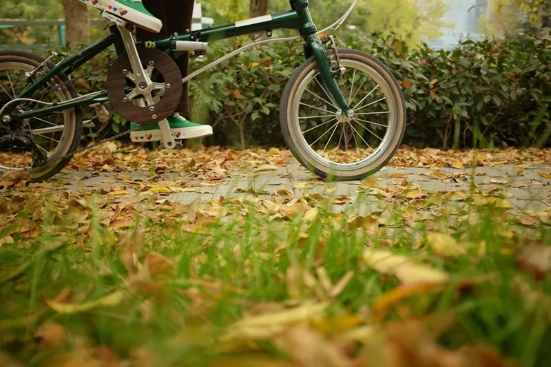 DAHON | 40周年征文活动作品集分享（一） “ 遇见大行，遇见更美的远方 ” - 美骑网|Biketo.com